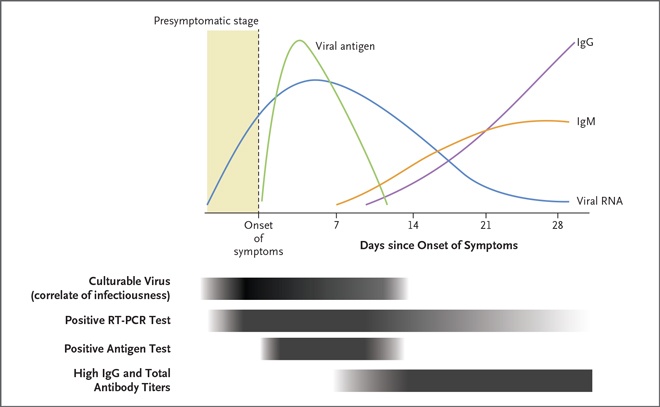 Rapid Diagnostic Testing for SARS-CoV-2 | NEJM Resident 360